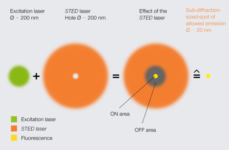 How the donut changed the world - @abberior.rocks