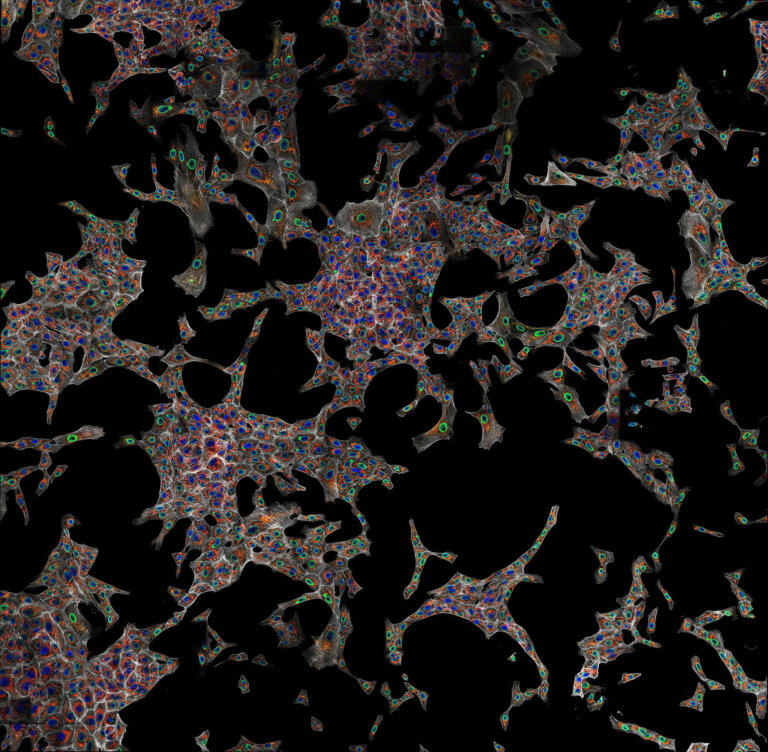 STEDYCON - @abberior.rocks