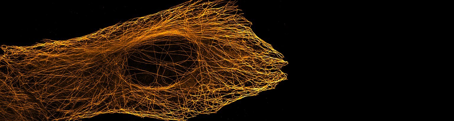 STED dyes at its best from the inventors of the technique