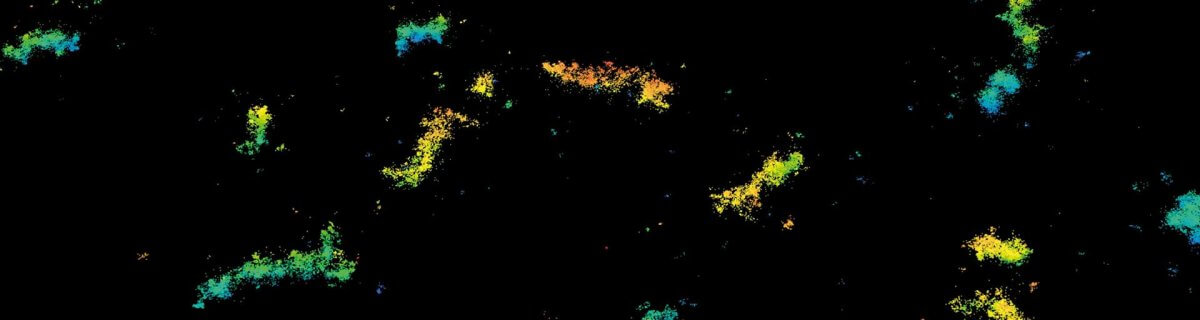 Degree of labeling (DOL) step by step