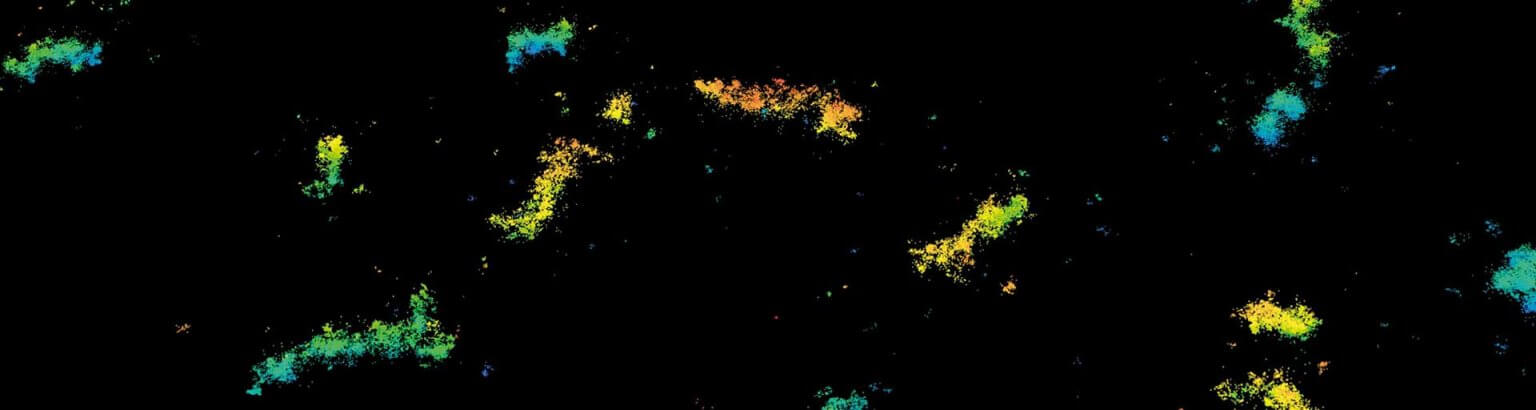 Degree of labeling (DOL) step by step