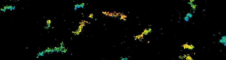 Degree of labeling (DOL) step by step