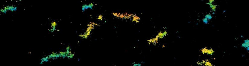 Degree of labeling (DOL) step by step