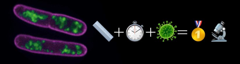 How to measure resolution? Part two! - @abberior.rocks