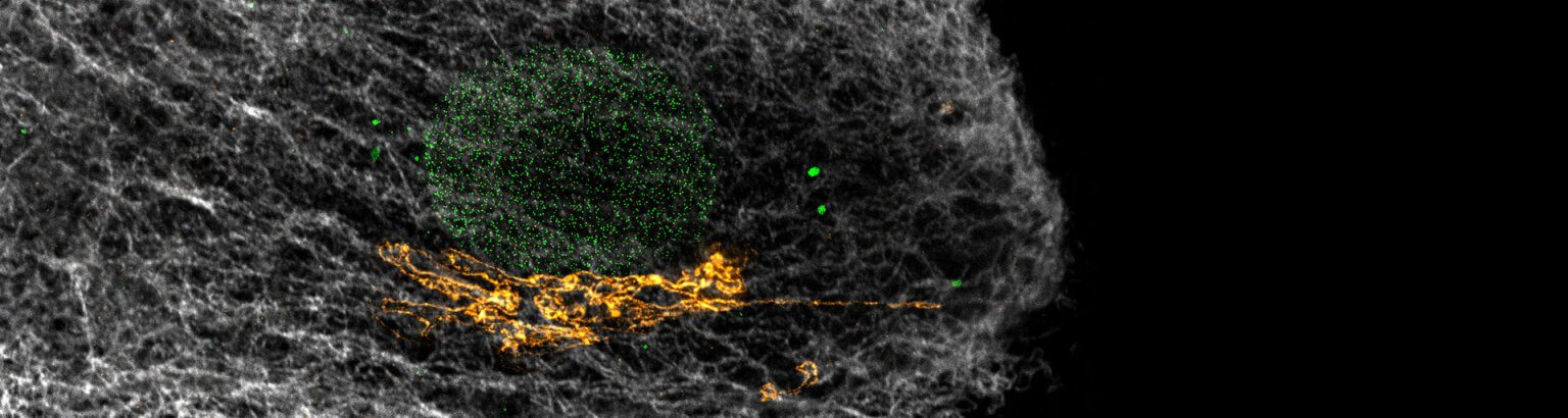 Protein & DNA-PAINT labeling kits
