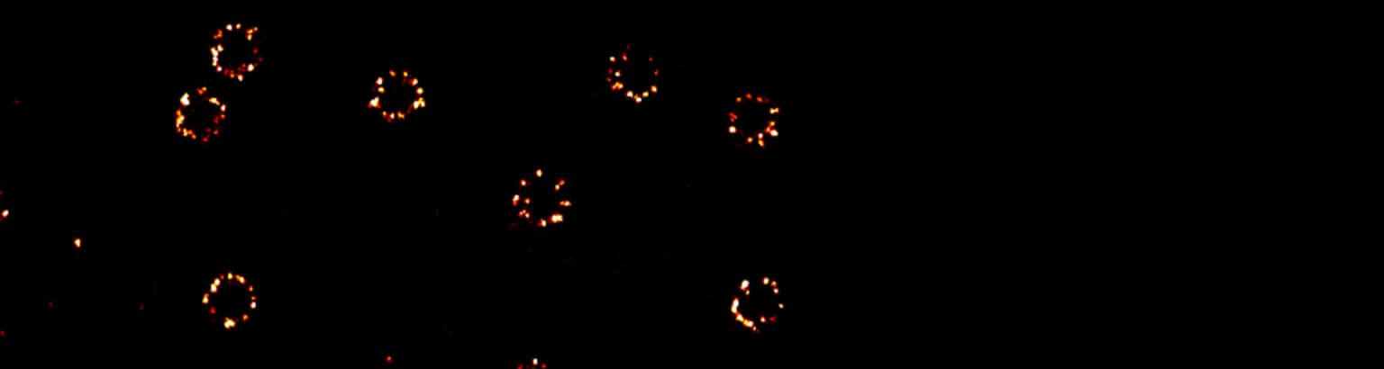 Protein & DNA-PAINT labeling kits