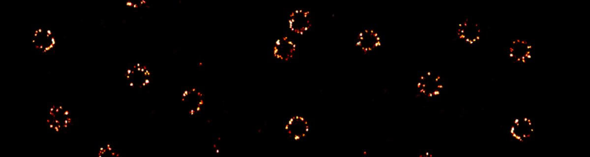 DNA-PAINT labeling protocol