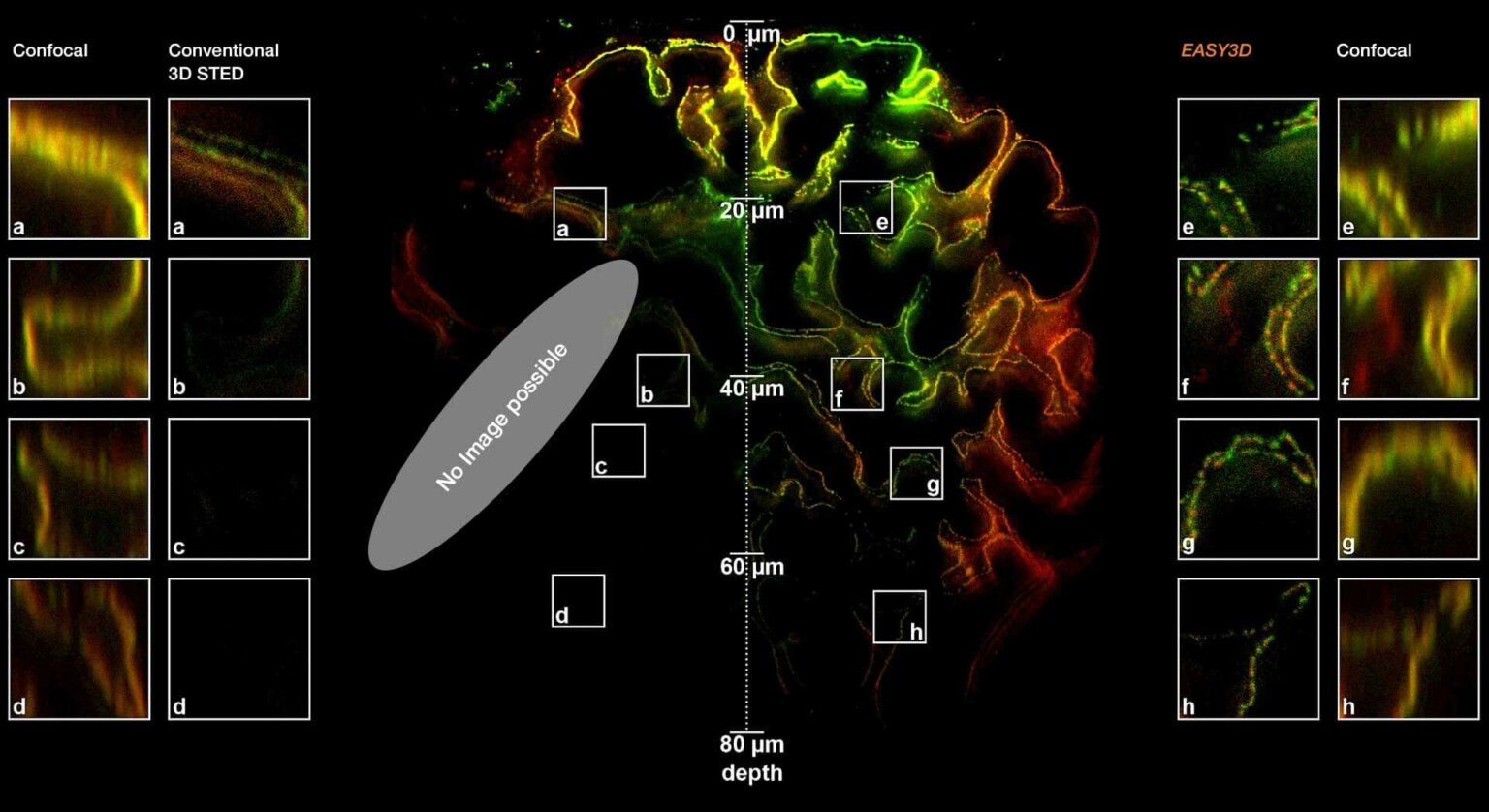 EASY3D - @abberior.rocks