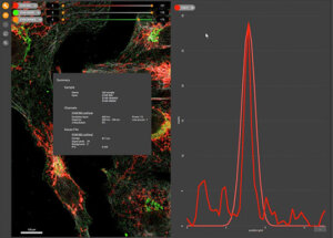 FACILITY - @abberior.rocks