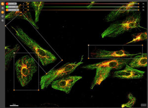 FACILITY - @abberior.rocks