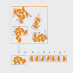 STEDYCON - @abberior.rocks