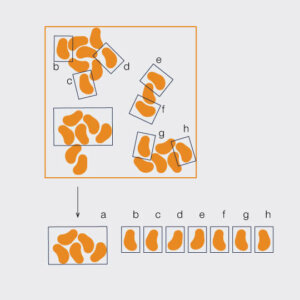 STEDYCON - @abberior.rocks