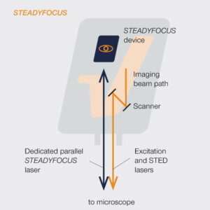 STEDYCON - @abberior.rocks