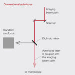 STEDYCON - @abberior.rocks