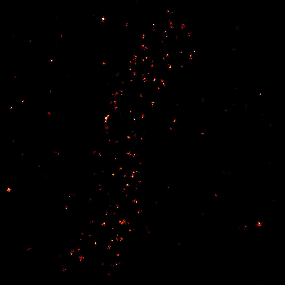 MINFLUX - @abberior.rocks