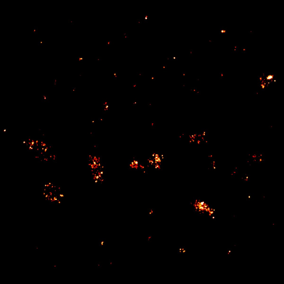 MINFLUX - @abberior.rocks