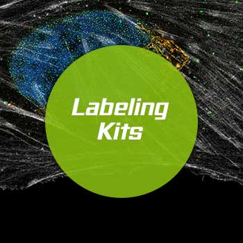 Protein & DNA-PAINT labeling kits