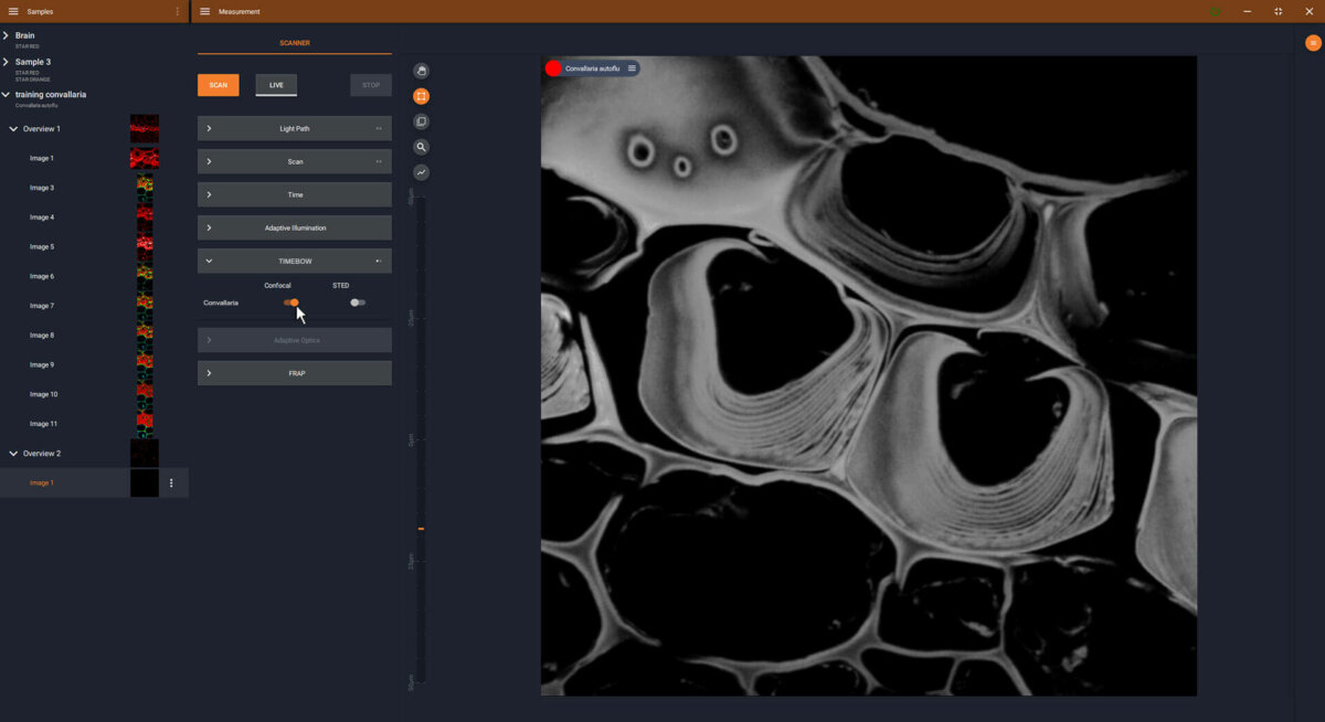 TIMEBOW Imaging - @abberior.rocks