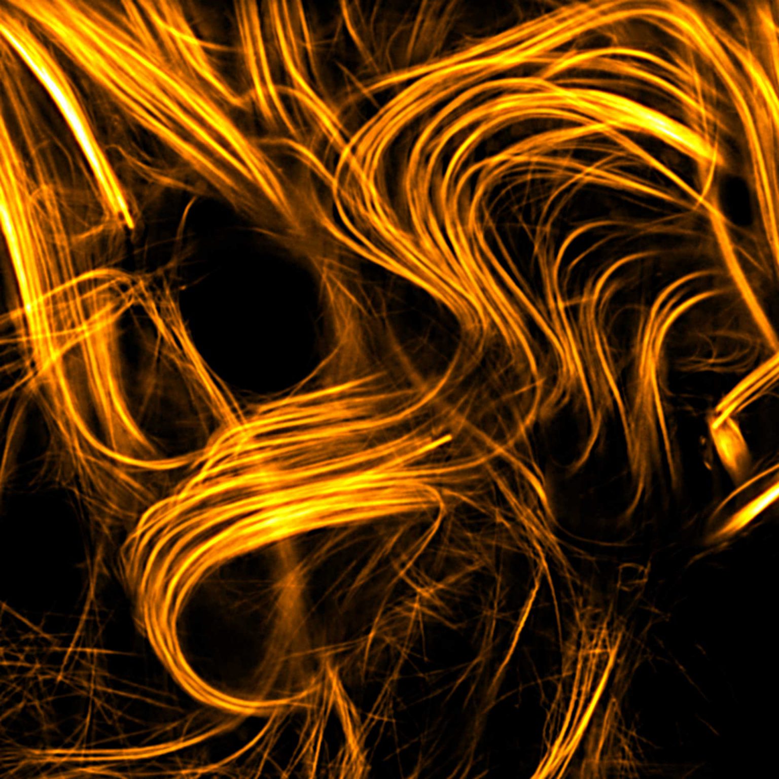 abberior LIVE - @abberior.rocks