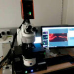 STEDYCON - @abberior.rocks