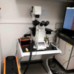 STEDYCON - @abberior.rocks