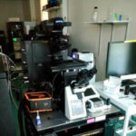 STEDYCON - @abberior.rocks