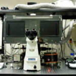 STEDYCON - @abberior.rocks