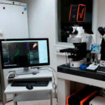 STEDYCON - @abberior.rocks