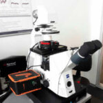 STEDYCON - @abberior.rocks