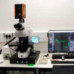 STEDYCON - @abberior.rocks