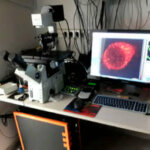 STEDYCON - @abberior.rocks