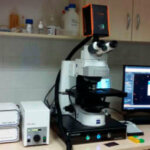 STEDYCON - @abberior.rocks