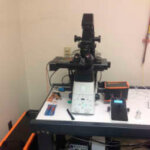 STEDYCON - @abberior.rocks