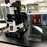 STEDYCON - @abberior.rocks