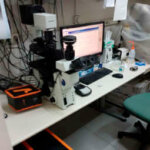 STEDYCON - @abberior.rocks