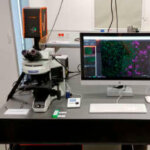 STEDYCON - @abberior.rocks