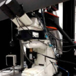 STEDYCON - @abberior.rocks