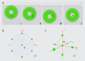 MINFLUX – unrivaled spatio-temporal resolution - @abberior.rocks