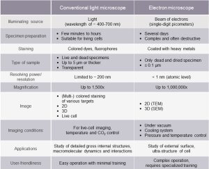 Where the tiny becomes mighty: light vs electron microscopy - @abberior ...