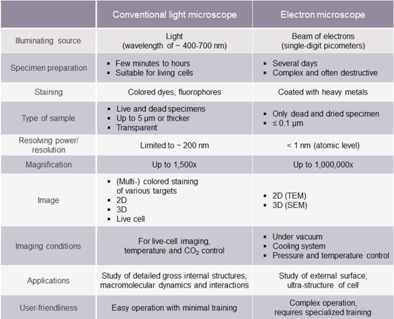 Where the tiny becomes mighty: light vs electron microscopy - @abberior ...
