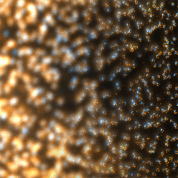 What is the resolution of a STED microscope?