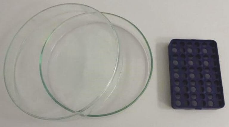 Labeling for STED microscopy - @abberior.rocks