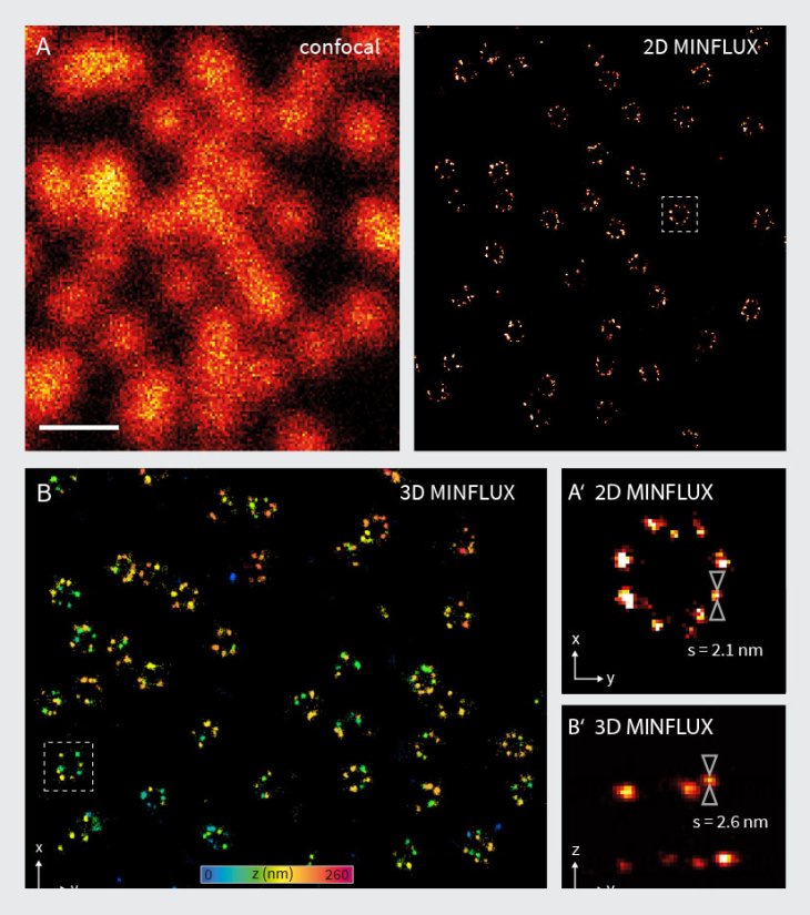 MINFLUX – unrivaled spatio-temporal resolution - @abberior.rocks