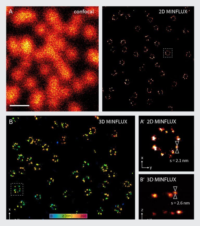 MINFLUX – unrivaled spatio-temporal resolution - @abberior.rocks