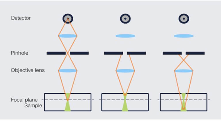 Optical sectioning, or: tackling the background problem - @abberior.rocks