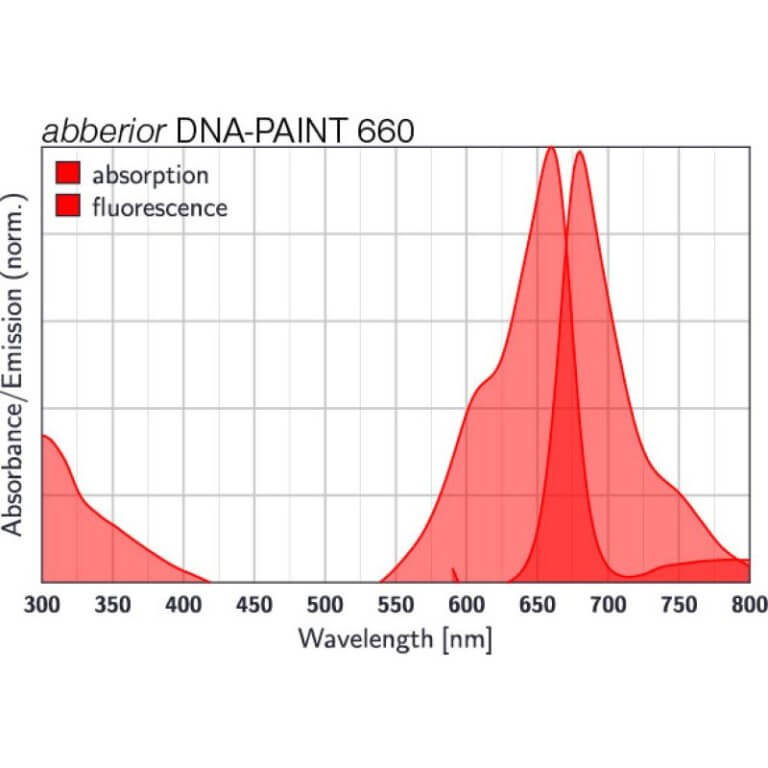 Protein & DNA-PAINT labeling kits