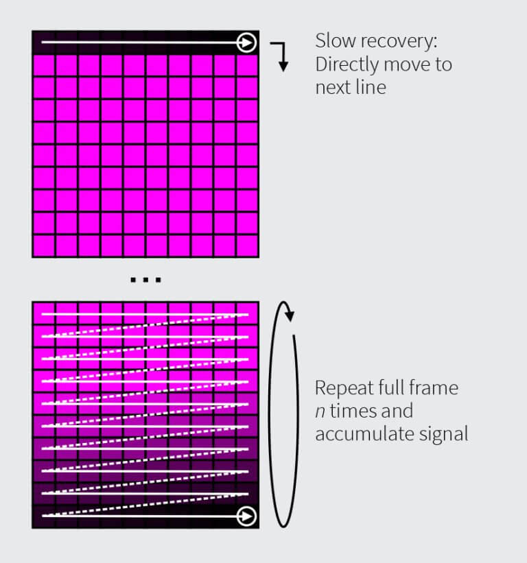 STED-PAINT for high-performance superresolution