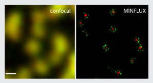 MINFLUX – unrivaled spatio-temporal resolution - @abberior.rocks