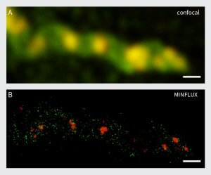 MINFLUX – unrivaled spatio-temporal resolution - @abberior.rocks