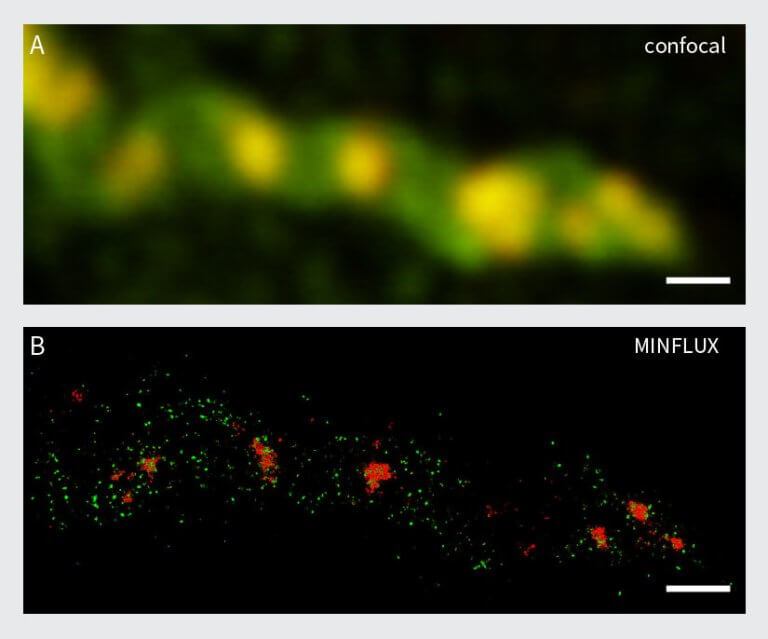 MINFLUX – unrivaled spatio-temporal resolution - @abberior.rocks